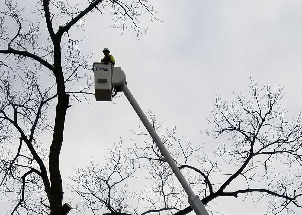 Forestry & Tree Care Bucket Trucks | Dur-A-Lift